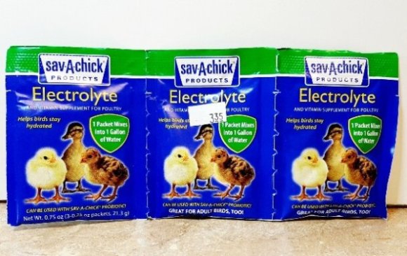 Common Chick Problems – Chicken Girl